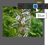Assigning Color Labels